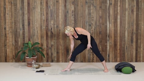 How to - Hasta & Pada Bandha - The Online Yoga Sanctuary