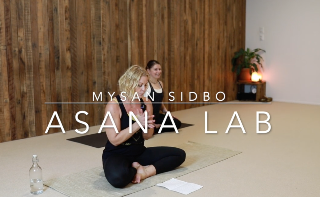 Asana Lab 1 - The Online Yoga Sanctuary